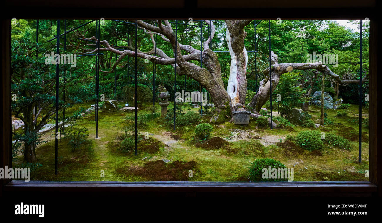 Japan, Honshu island, Kansai region, Kyoto, Hosen-in temple Stock Photo ...