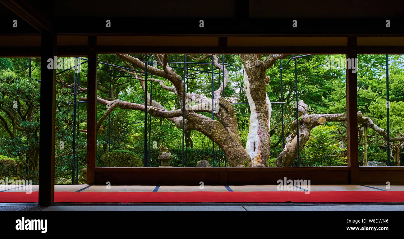 Japan, Honshu island, Kansai region, Kyoto, Hosen-in temple Stock Photo ...