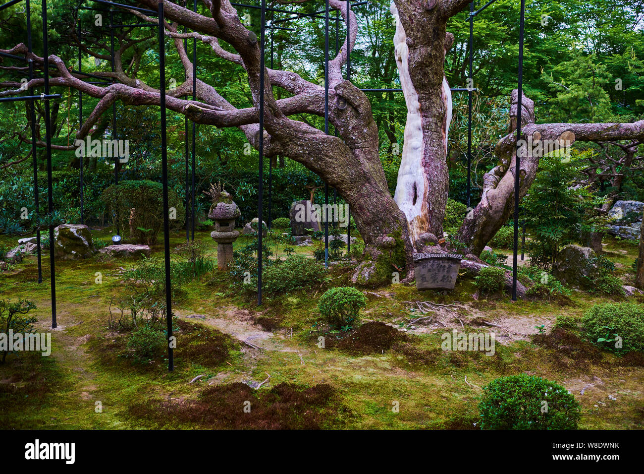 Japan, Honshu island, Kansai region, Kyoto, Hosen-in temple Stock Photo ...