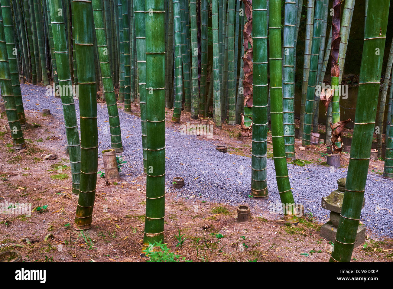 Enko hi-res stock photography and images - Alamy