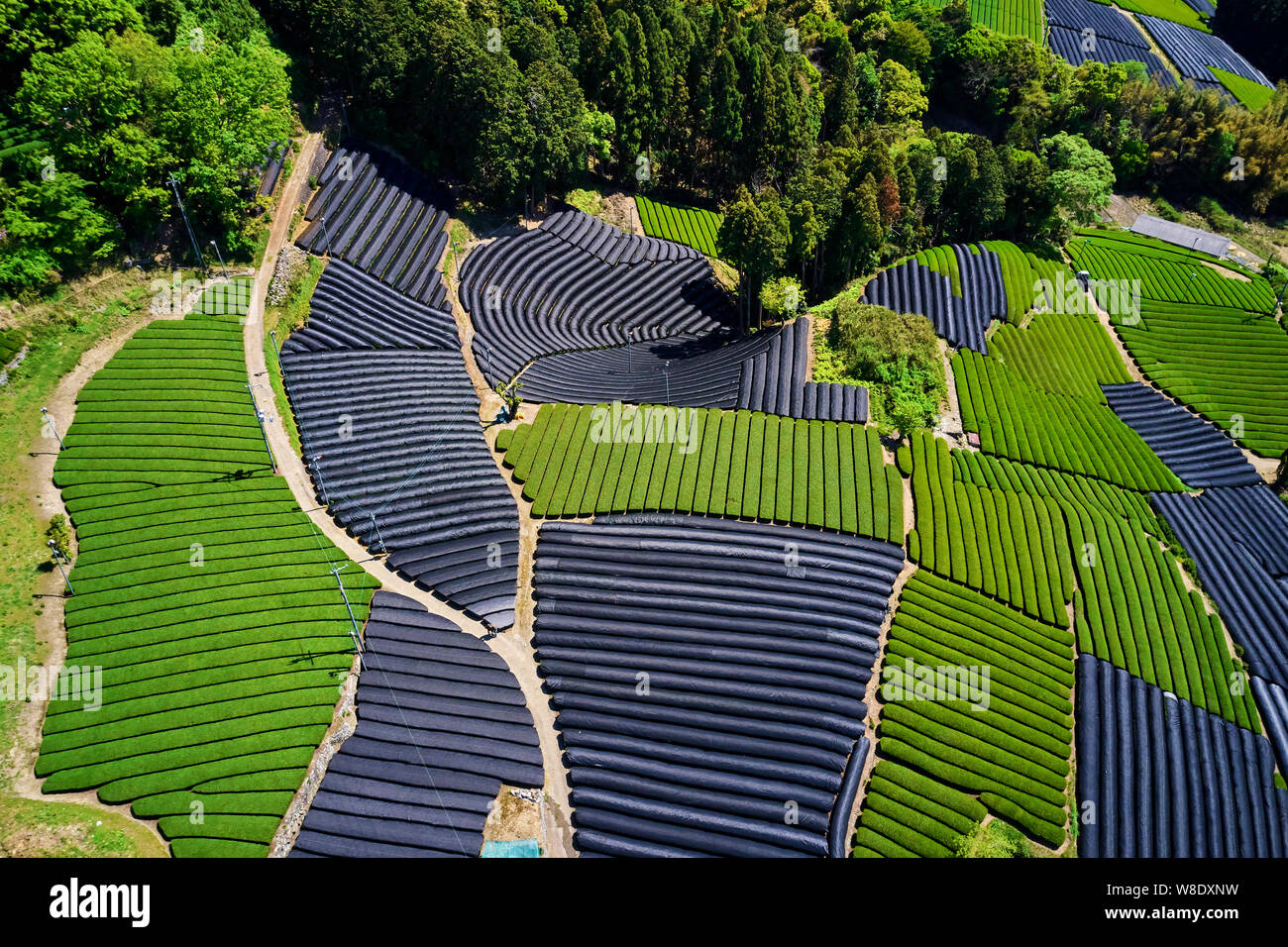 Japanese Matcha Tea High Resolution Stock Photography and Images - Alamy