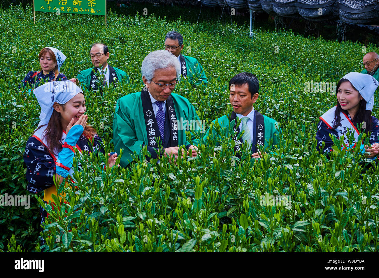 Japan, Honshu island, Kansai region, Uji, festival for the spring first ...