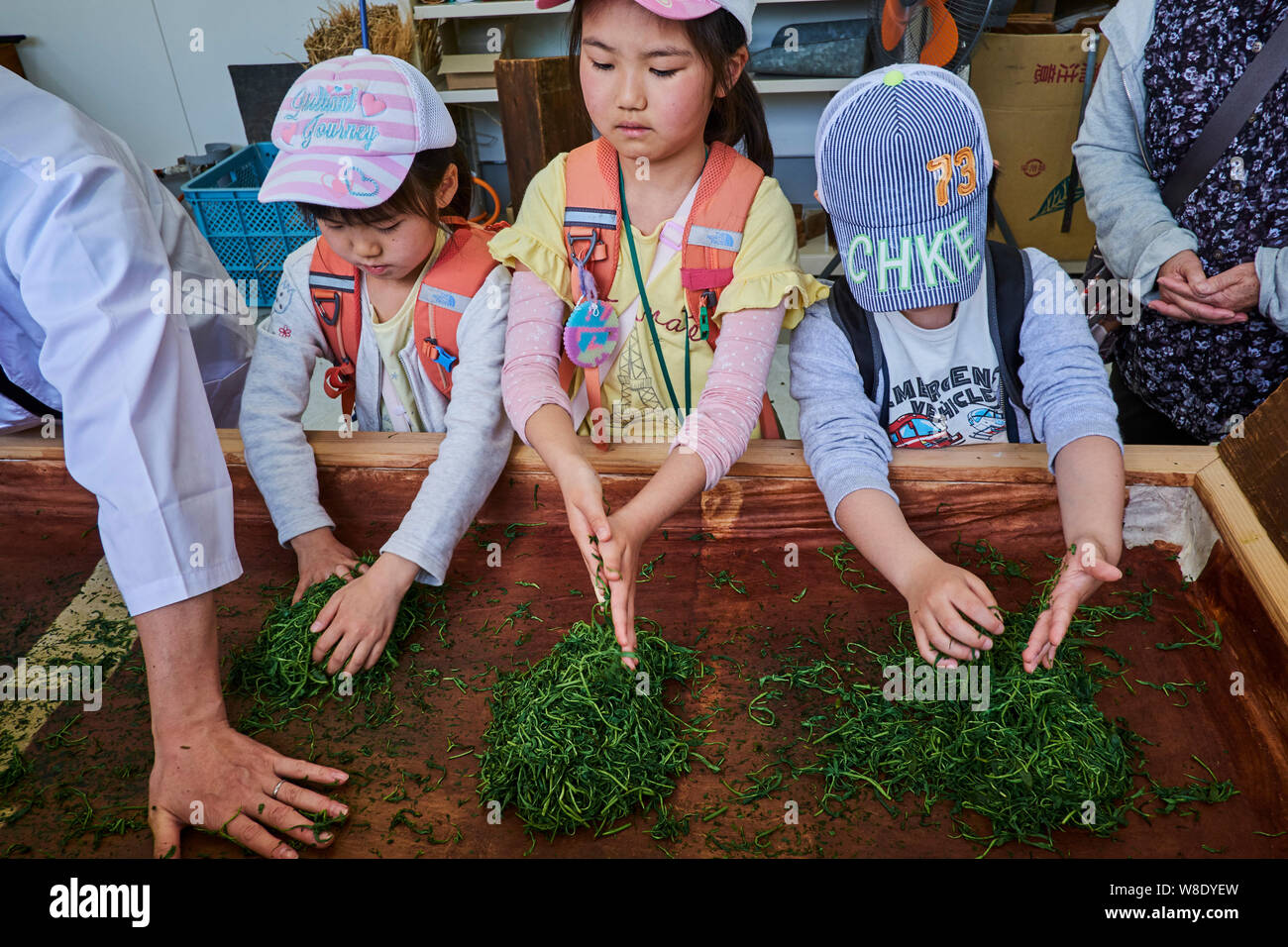 Japan, Honshu island, Kansai region, Uji, festival for the spring first ...