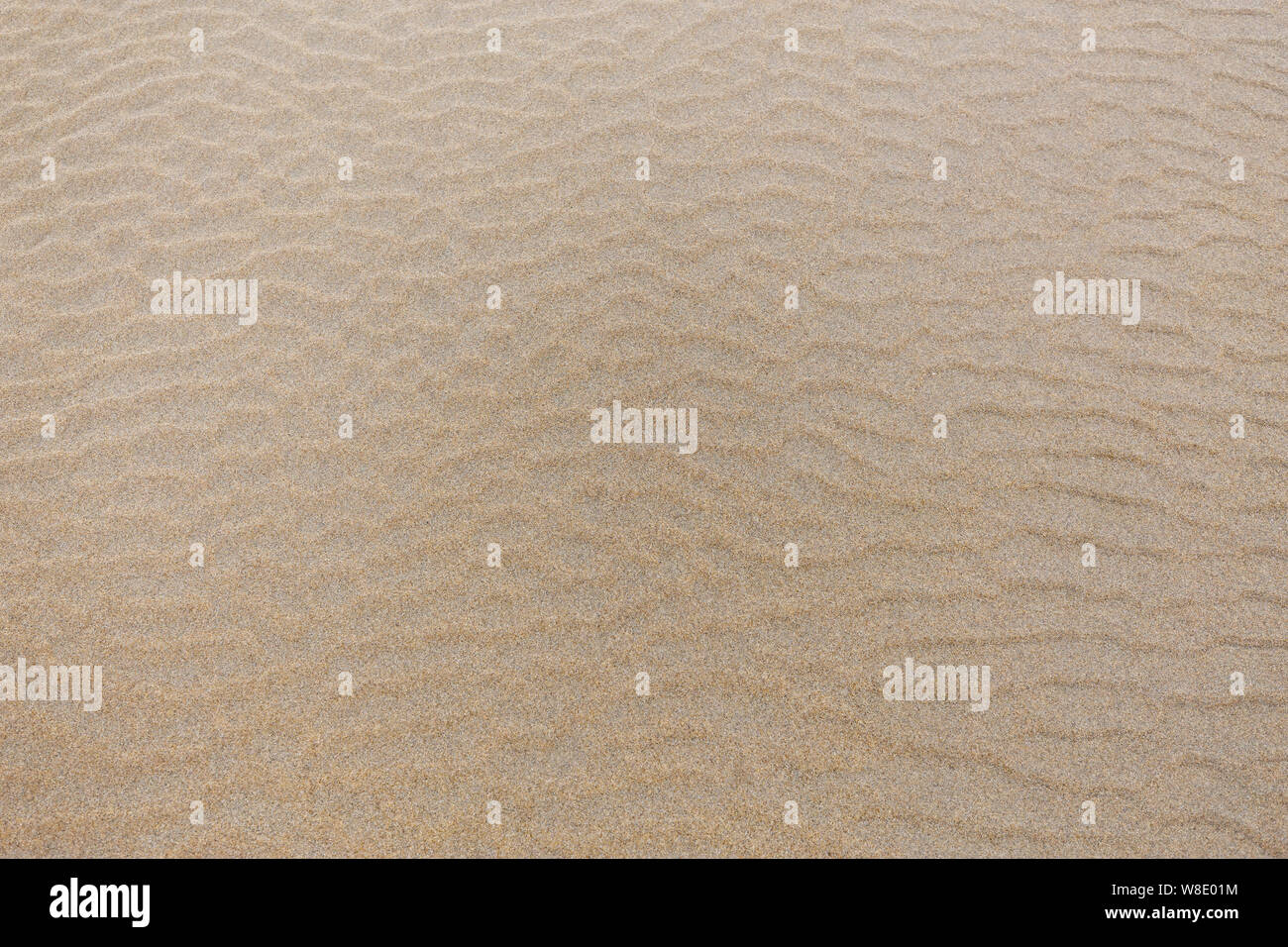 Sand surface on the beach Wave pattern Stock Photo - Alamy
