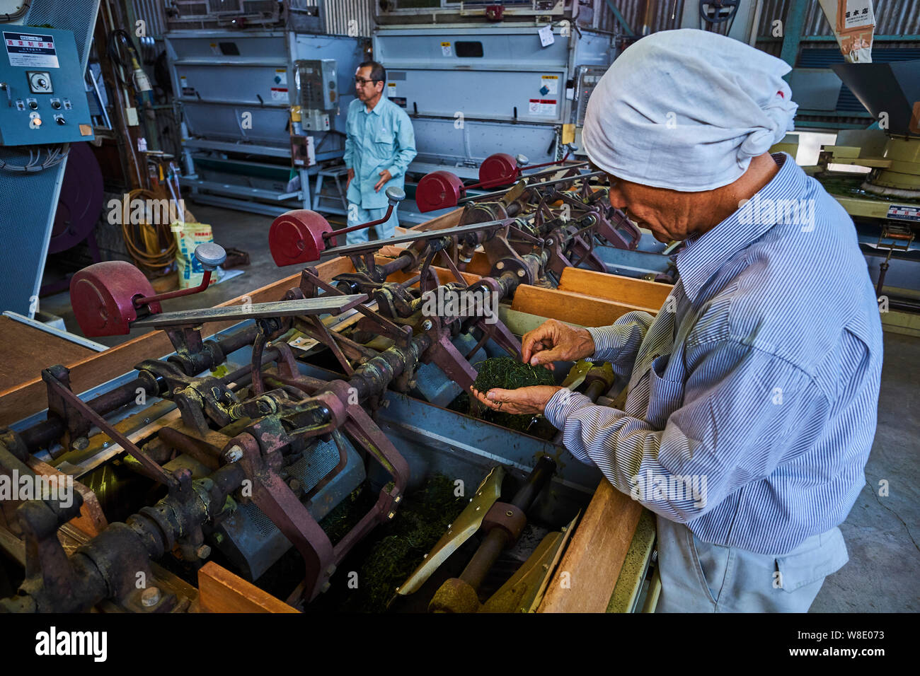 Japan Honshu Shizuoka tea factory of Mr Mizuno de Maruichi Mizuno Seicha Stock Photo Alamy