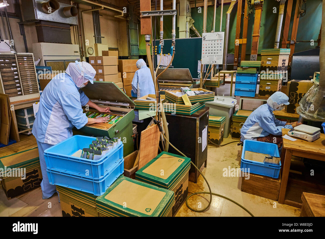 Matcha tea factory hi-res stock photography and images - Alamy