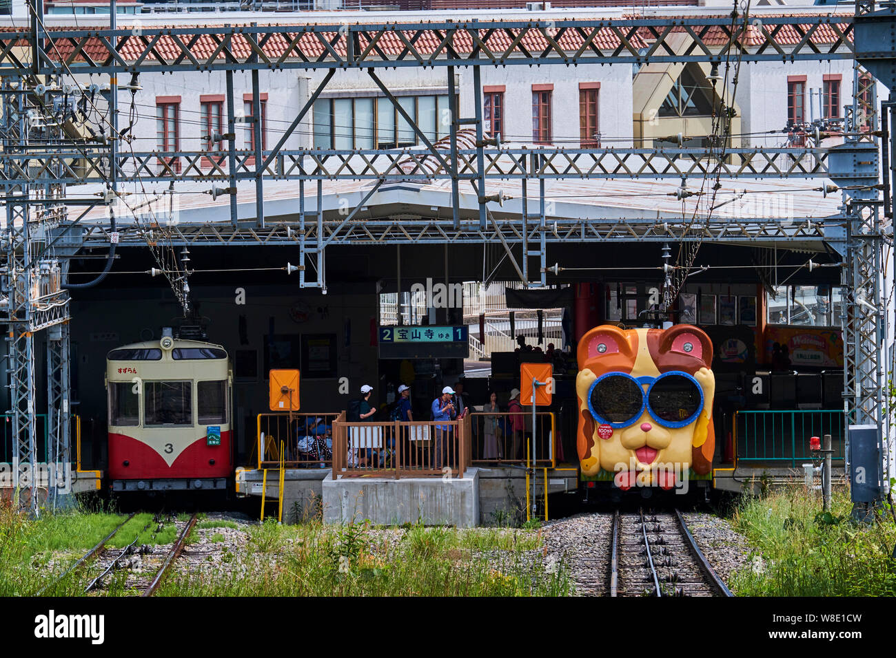 Japan, Honshu island, Kansai region, Nara prefecture, Ikoma, cat cable ...