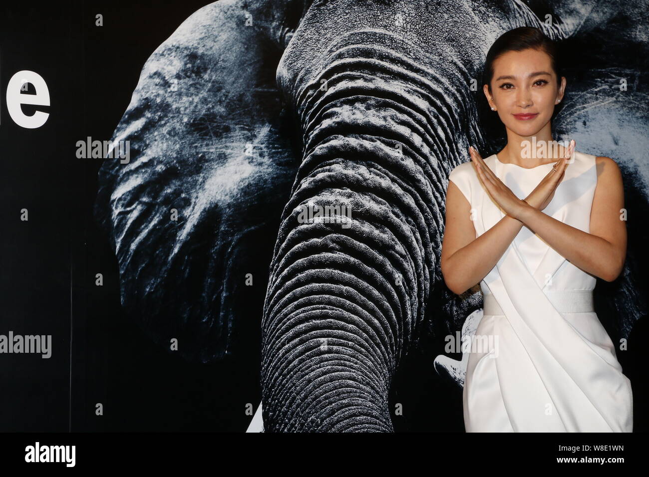 Chinese actress Li Bingbing poses during a press conference to call for ...