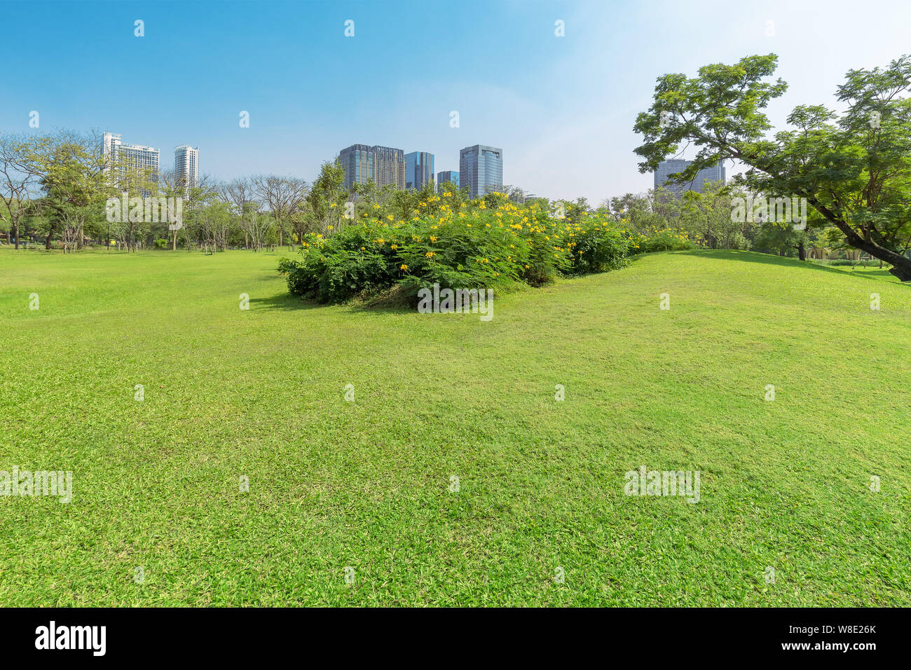 Beautiful garden in daytime outdoor nature background Stock Photo - Alamy