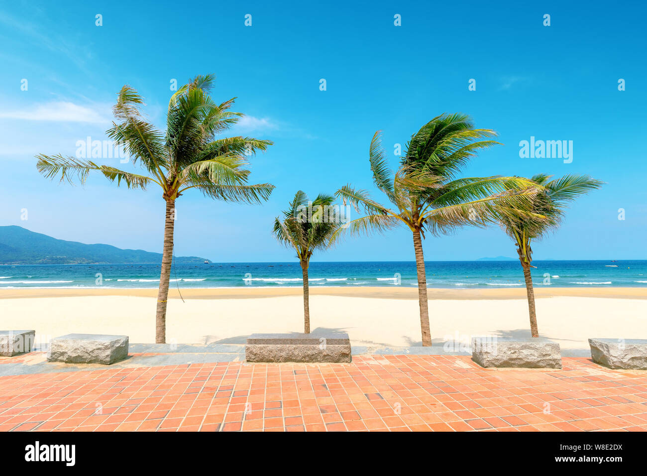 Coconut trees at the beach On the day that the sky was blue Stock Photo ...