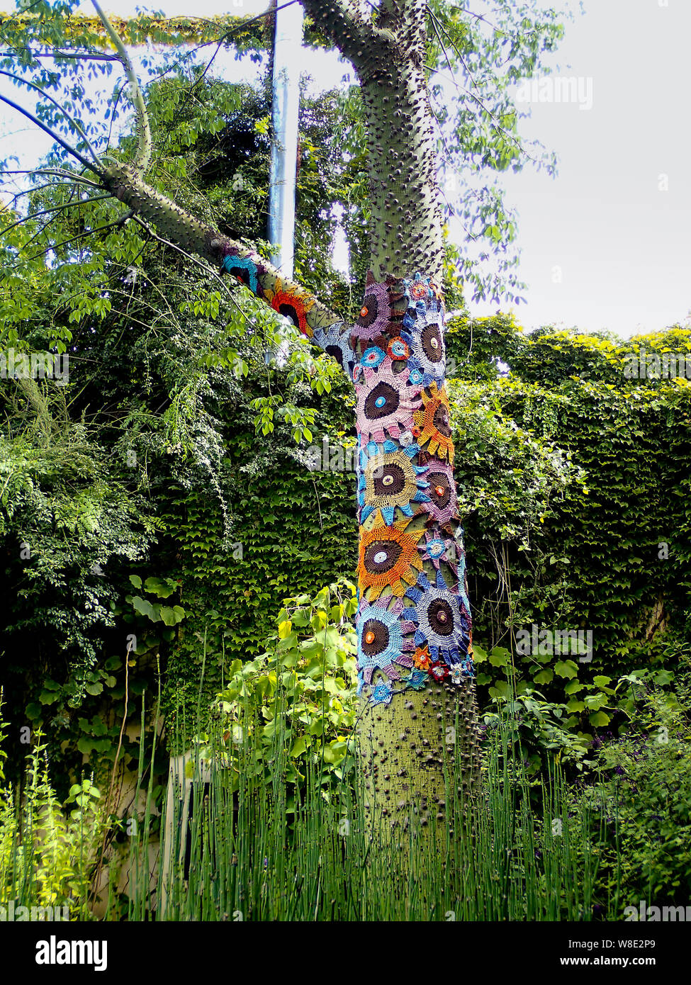 colorful crocheted fabric is wrapped around a tree bark Stock Photo - Alamy