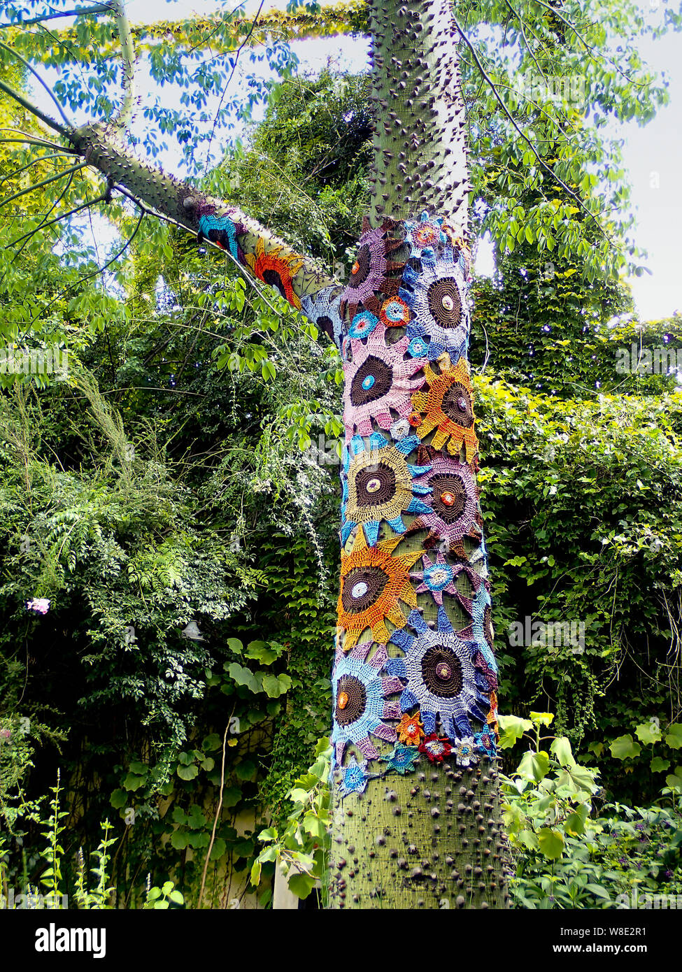 colorful crocheted fabric is wrapped around a tree bark Stock Photo - Alamy
