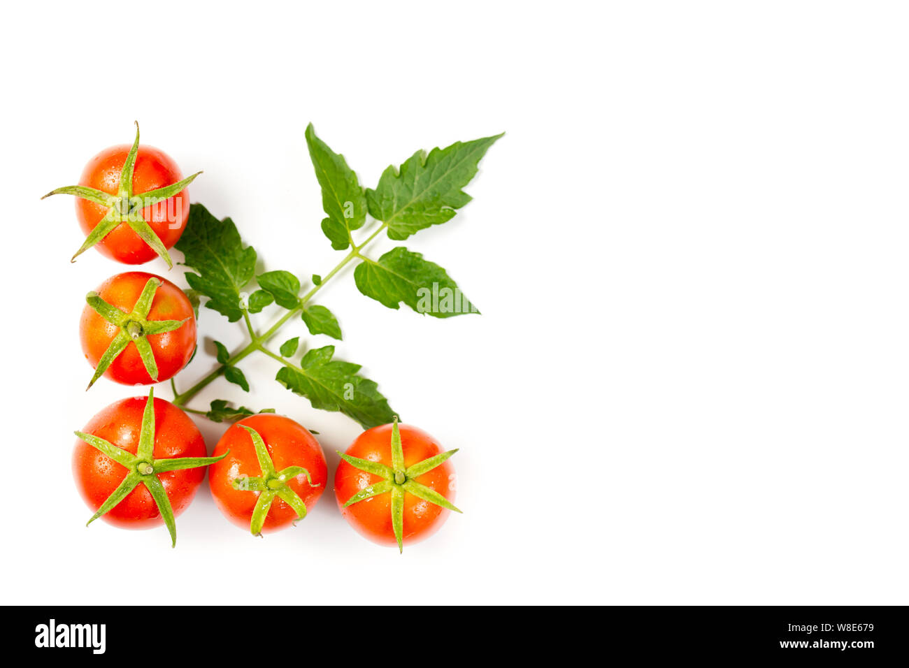 fresh tomato on white background Stock Photo - Alamy