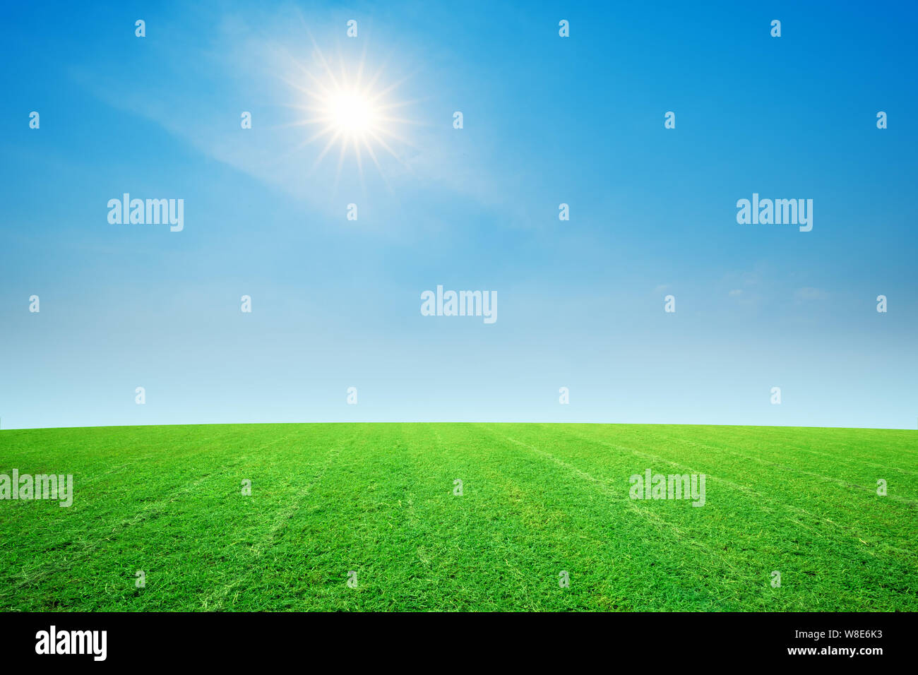 Green grass and blue sky landscape background Stock Photo - Alamy