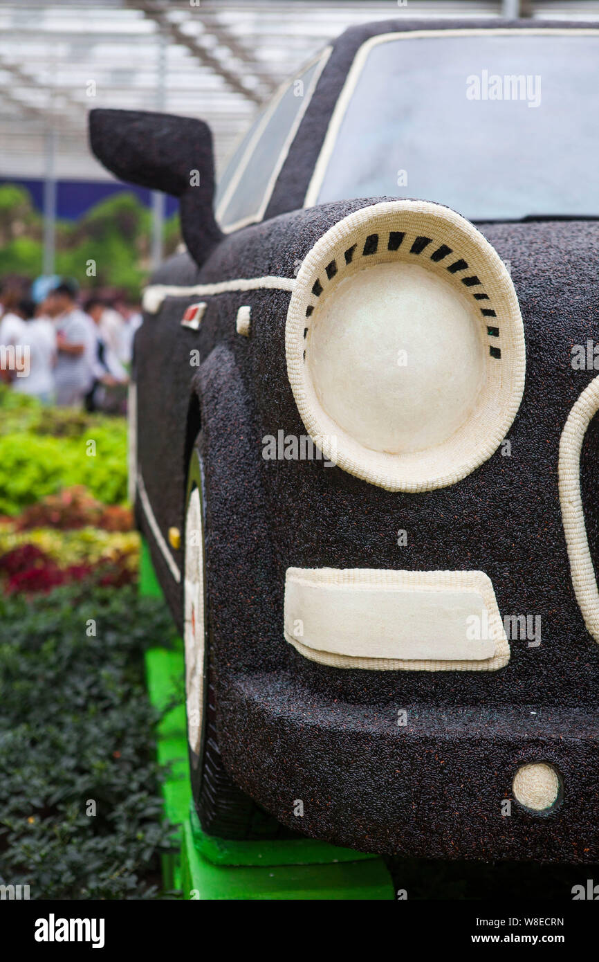 Faws hi-res stock photography and images - Alamy