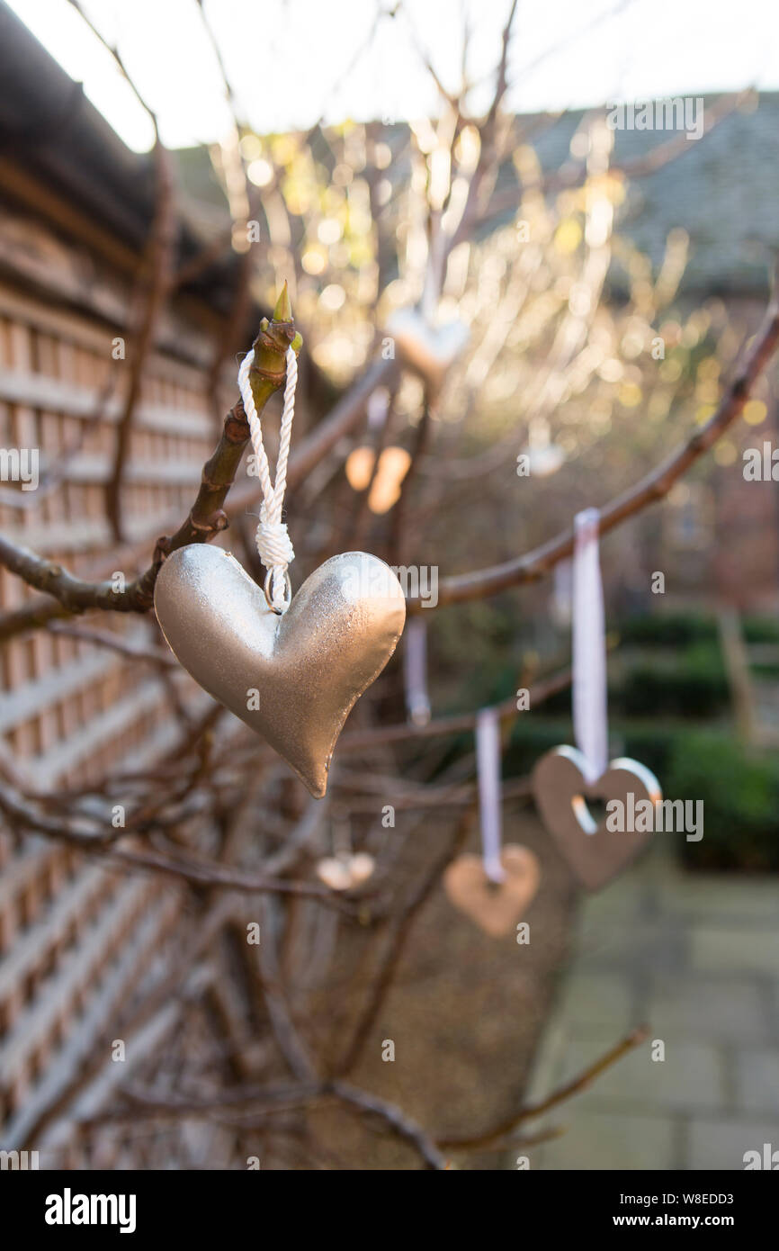Hanging heart tree decorations hi-res stock photography and images - Alamy