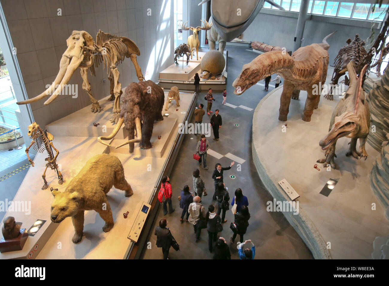Visitors look at specimens of animals on display at the Shanghai ...