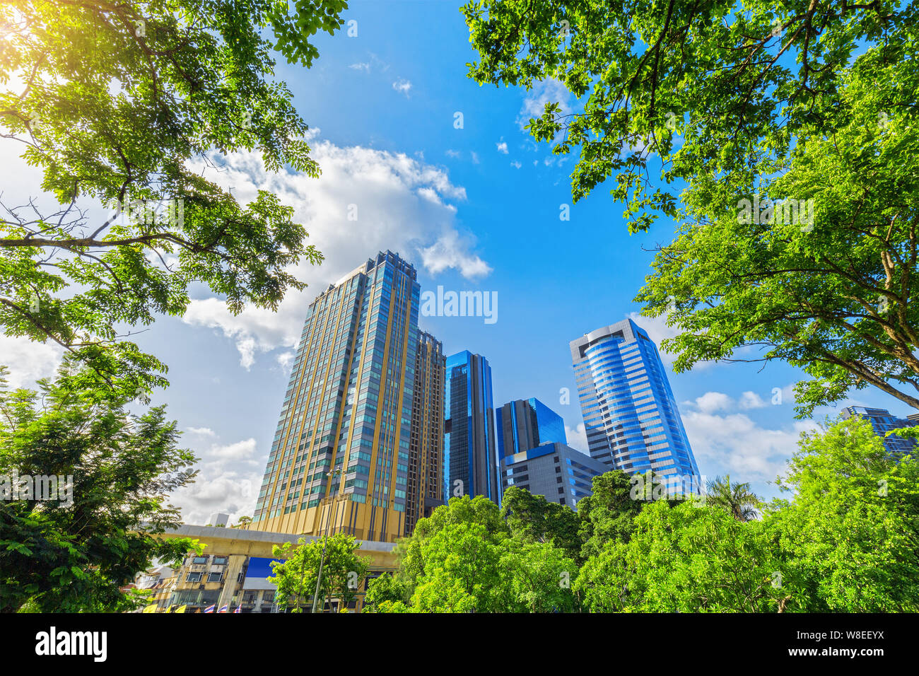 The park has green nature. With an office building background Stock ...