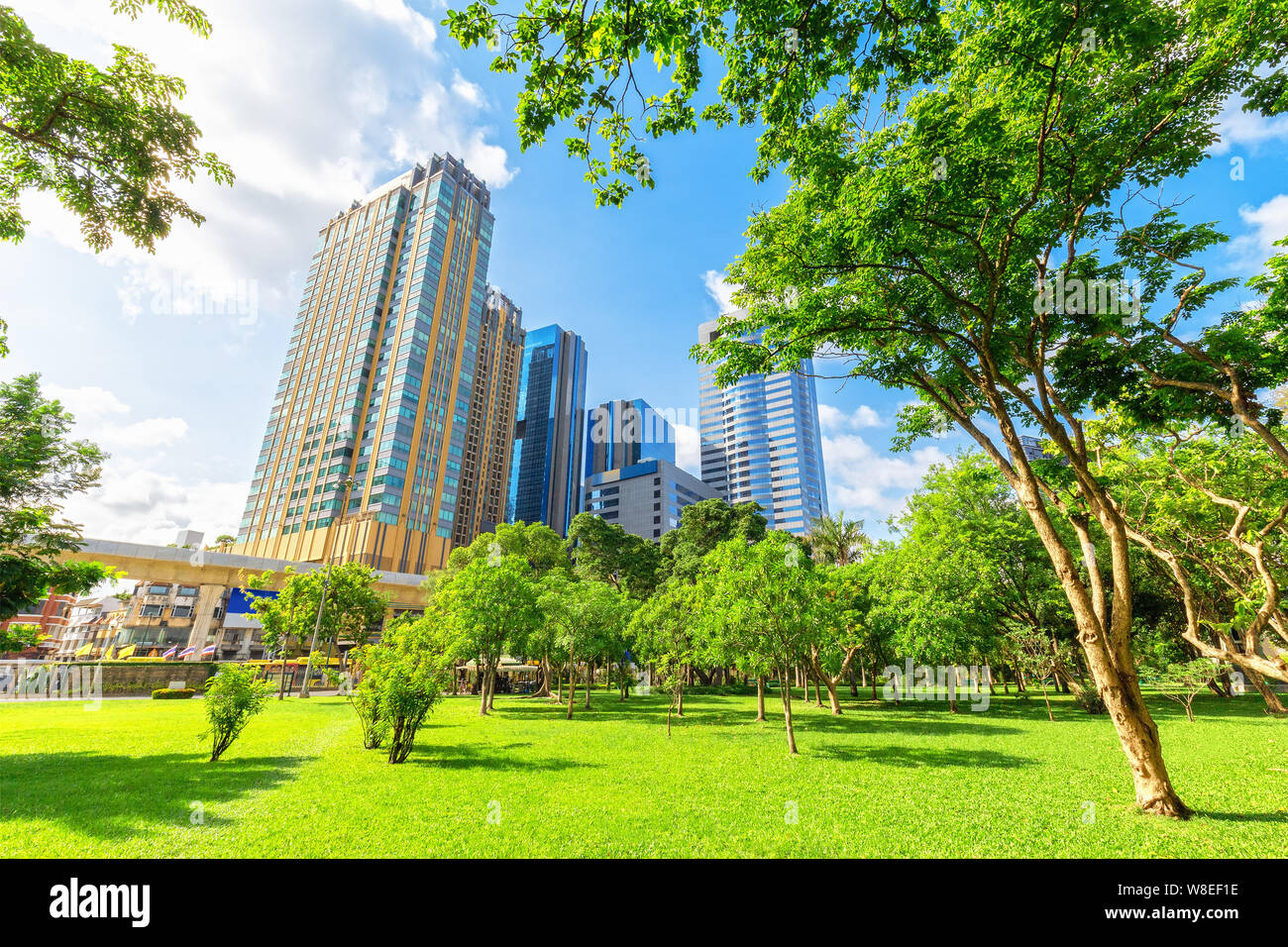 The park has green nature. With an office building background Stock ...