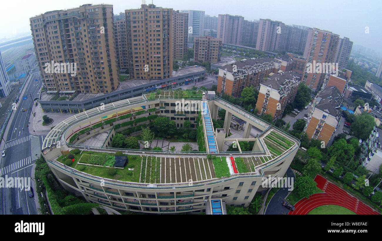 Aerial view of a garden on the rooftop of a building at an elementary ...