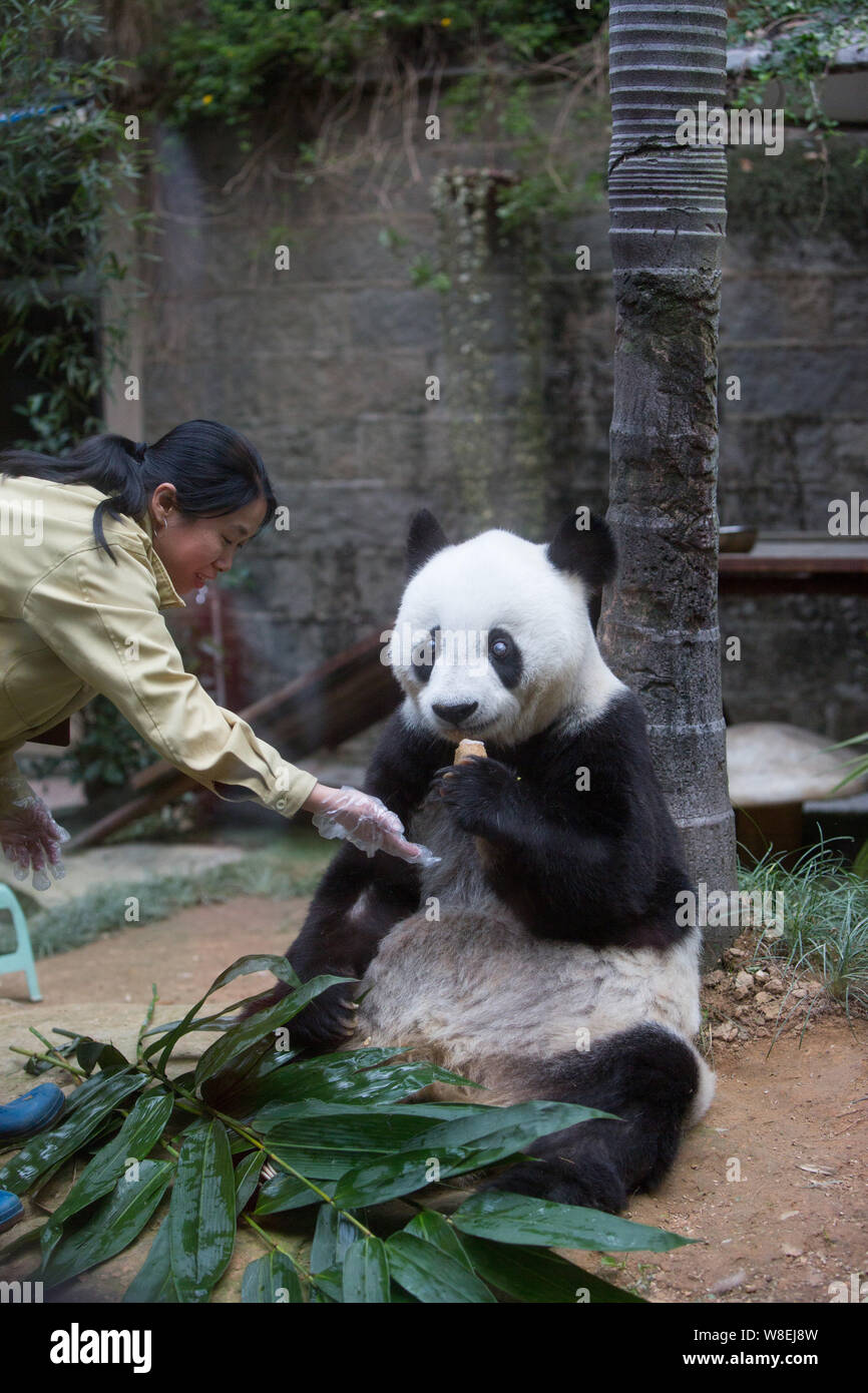 Employee of the year hi-res stock photography and images - Alamy