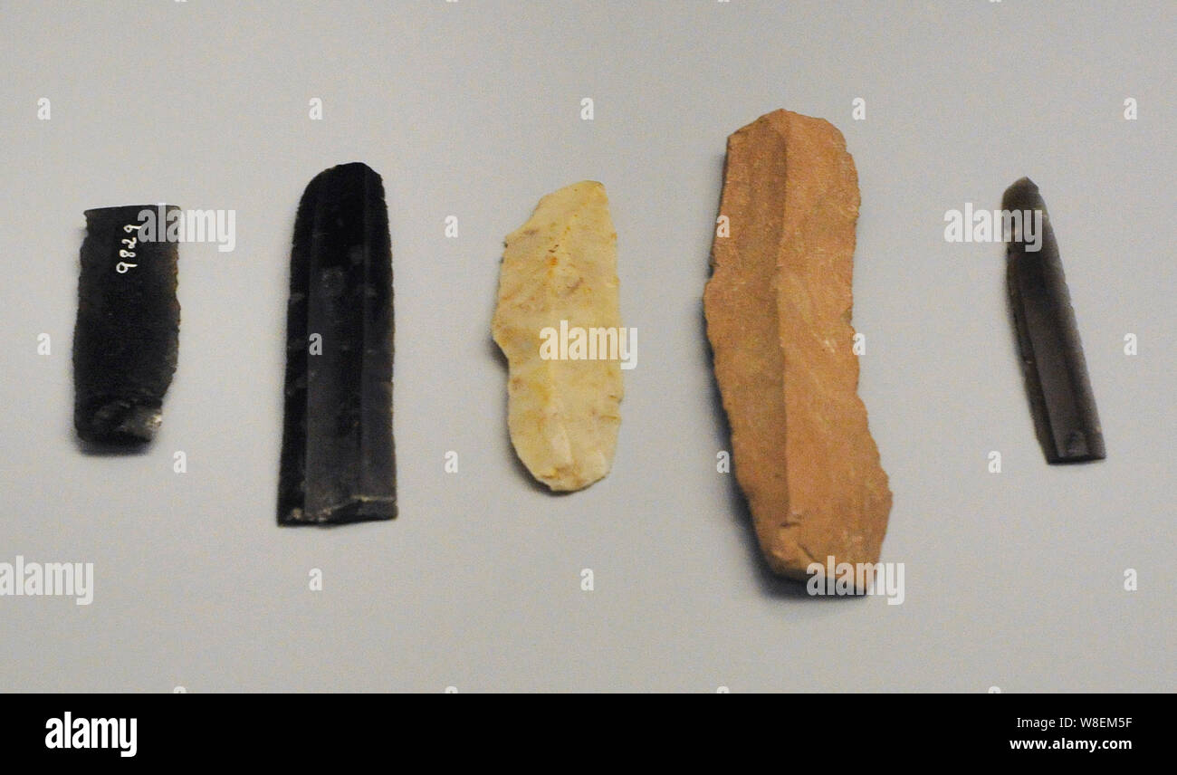 Paleo tool hi-res stock photography and images - Alamy