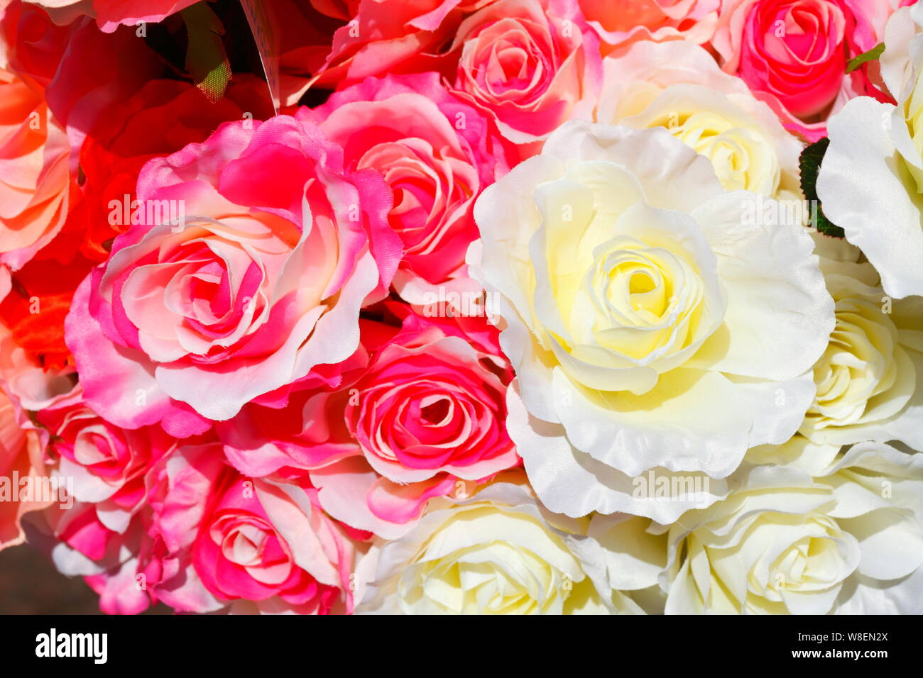 Color area hi-res stock photography and images - Alamy