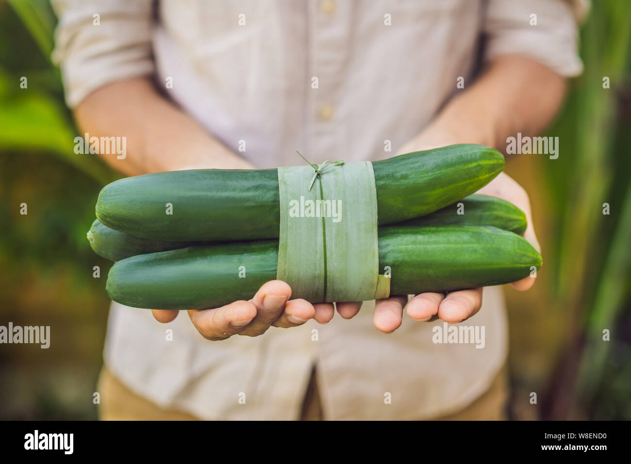 Eco-friendly product packaging concept. Cucumber wrapped in a banana ...