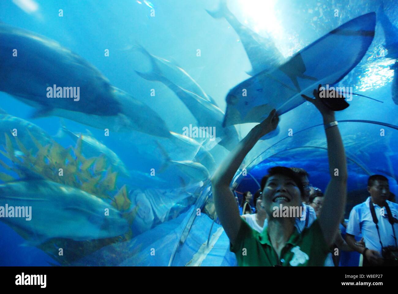 Tourists look at different species of fish at Qingdao Underwater World ...