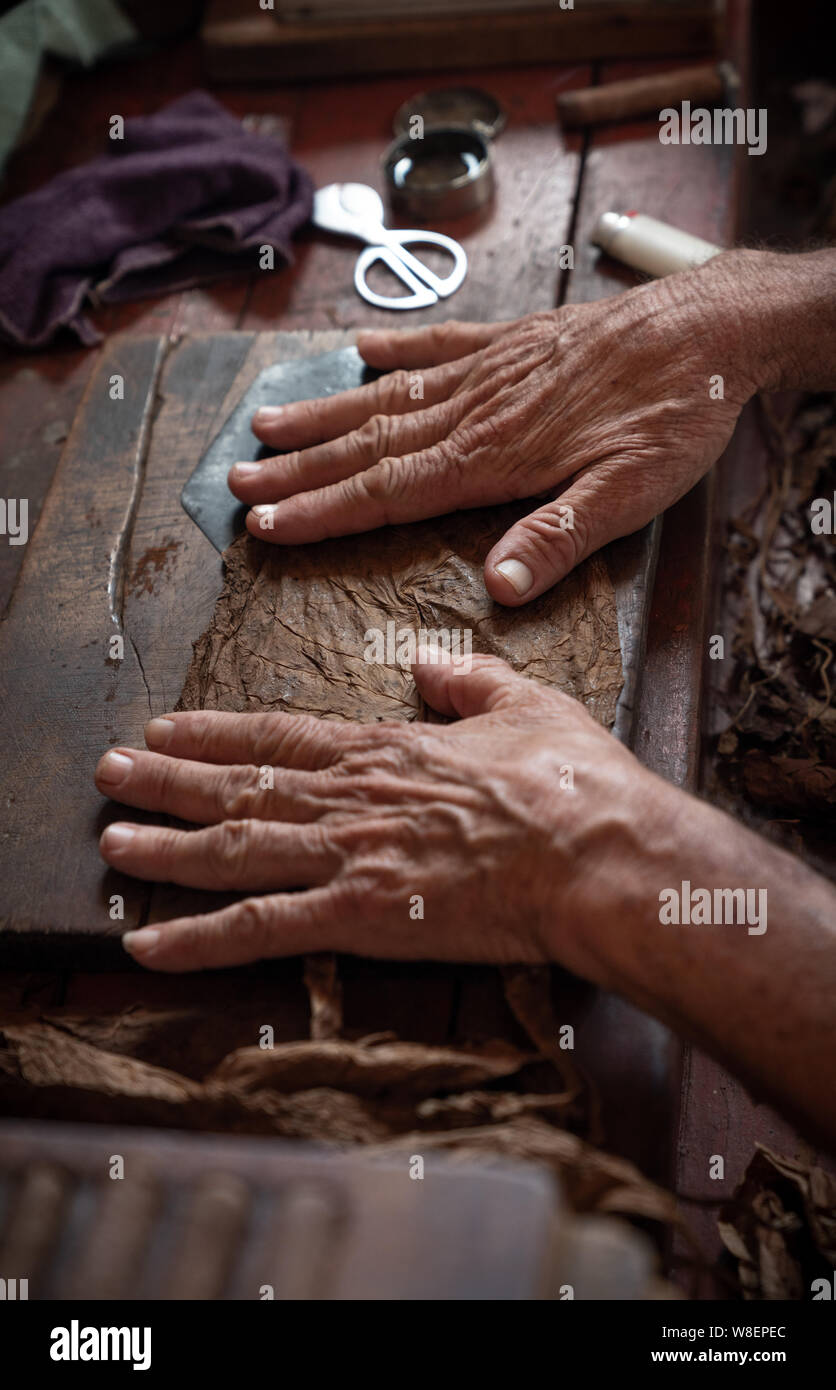 Cigar making table hi-res stock photography and images - Alamy