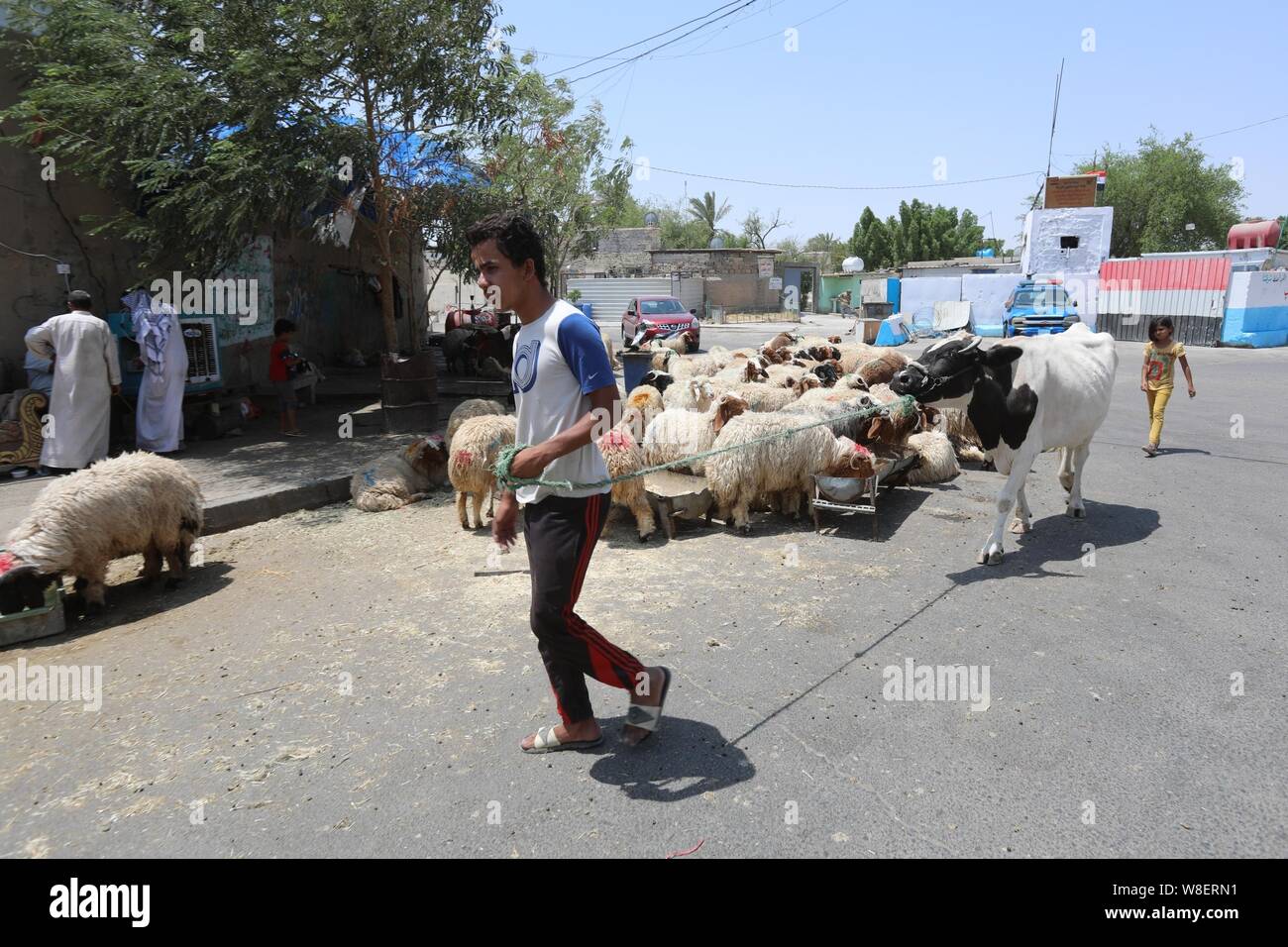 Livestock market in baghdad hi-res stock photography and images - Alamy