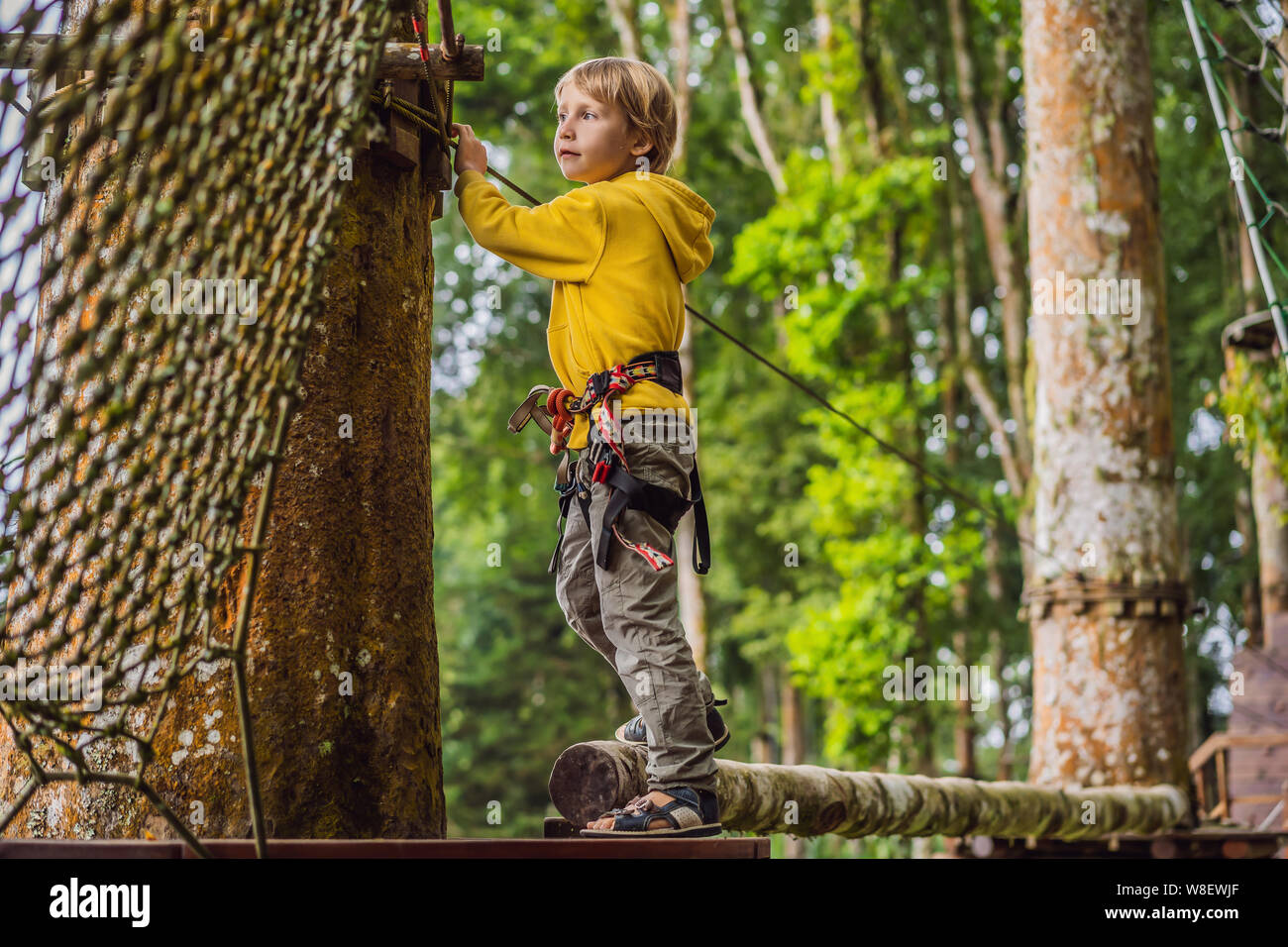 Little boy in a rope park. Active physical recreation of the child in ...