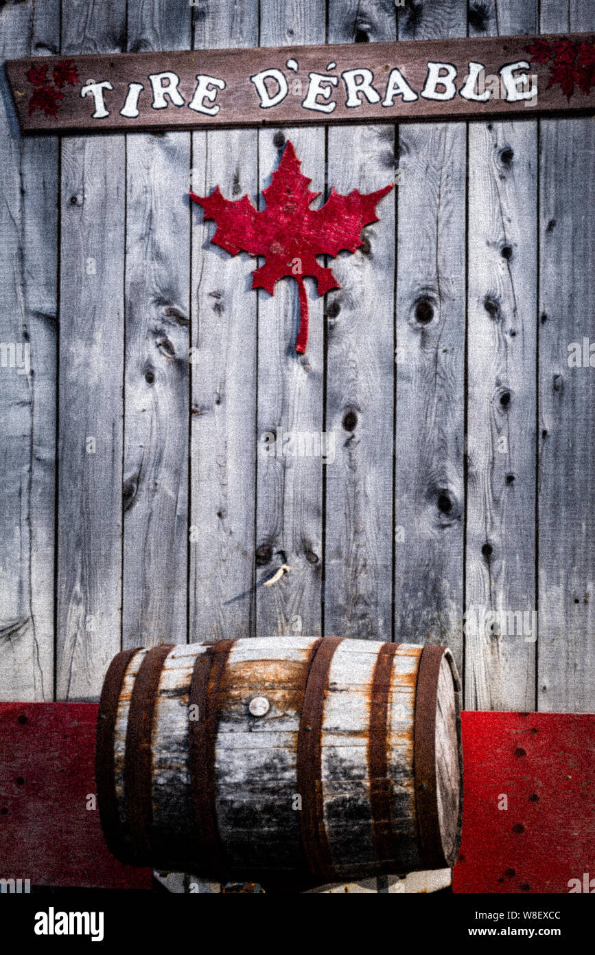 Maples street hi-res stock photography and images - Alamy