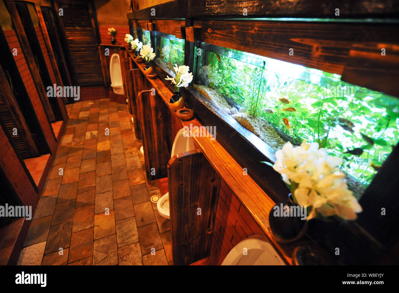 View of a fish tank next to urinals in a wooden toilet for gentlemen in ...