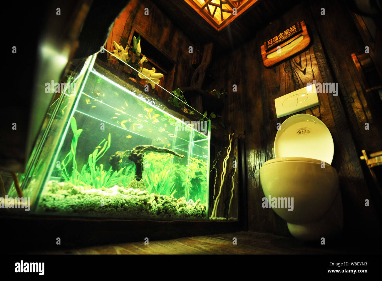 Asian Themed Fish Tank