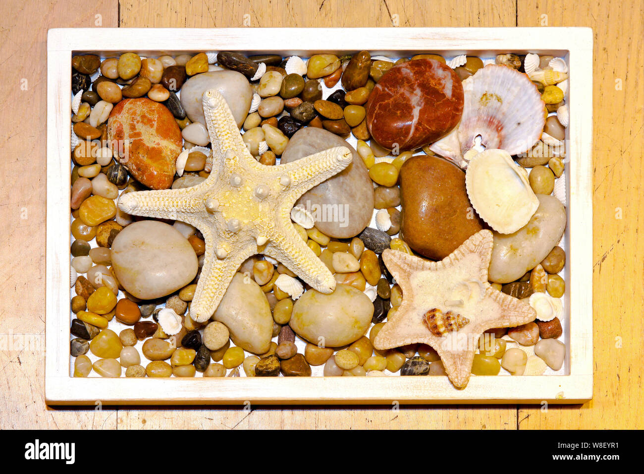 Artistic background with sea stars and shells Stock Photo - Alamy