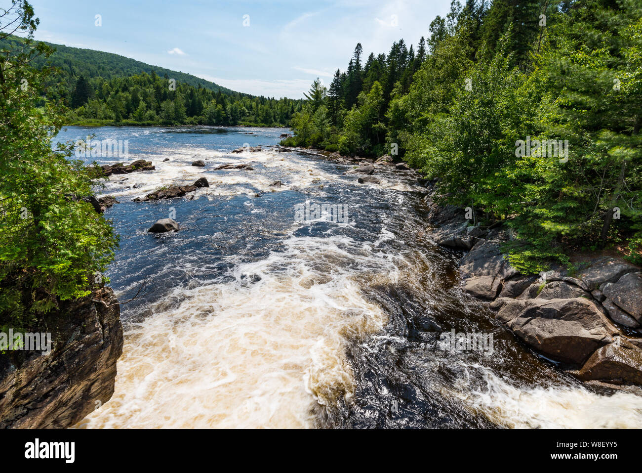 Quebec tree rivers hi-res stock photography and images - Alamy