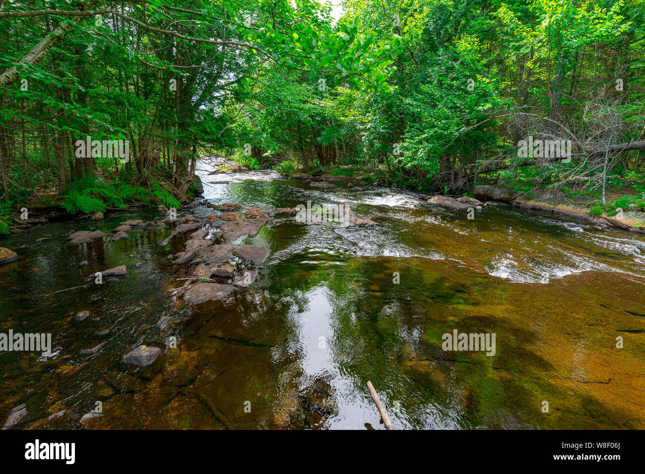 Quebec tree rivers hi-res stock photography and images - Alamy
