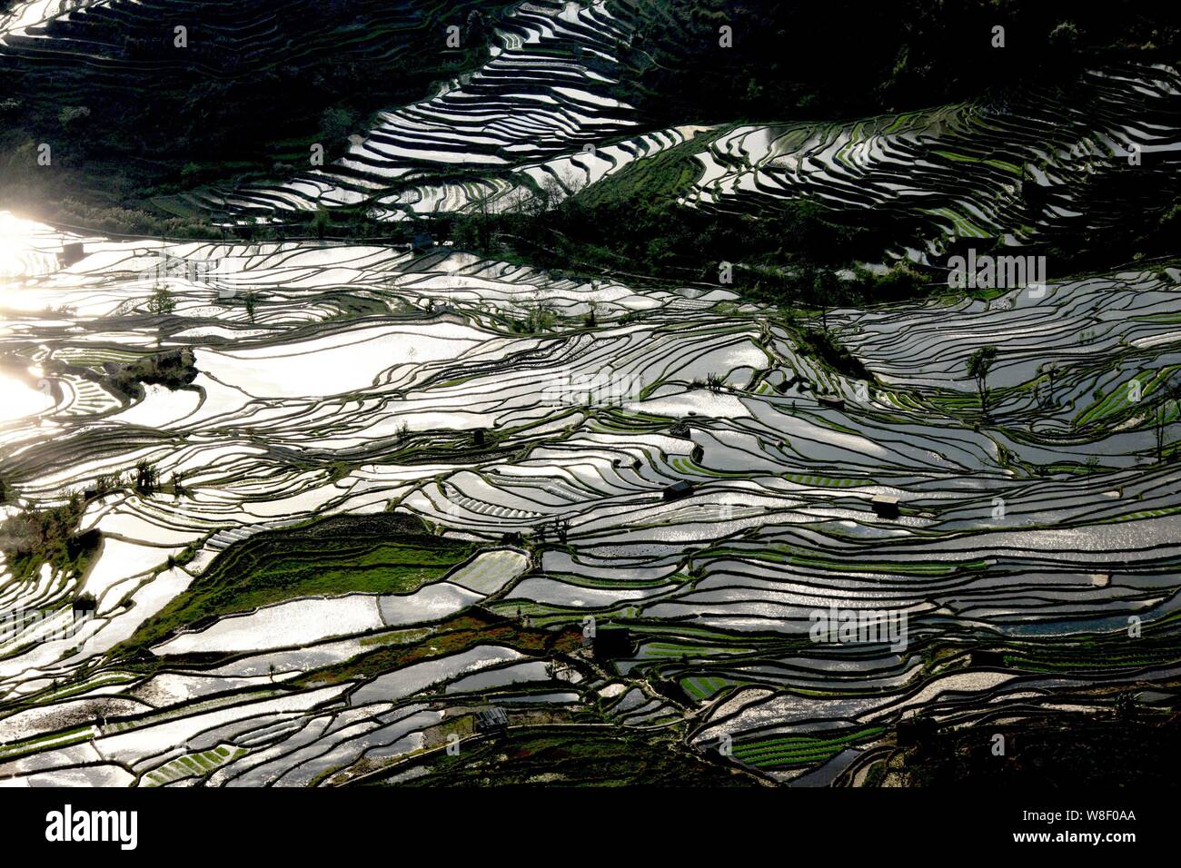 Landscape of terraced rice fields of the Honghe Hani Rice Terraces, one ...