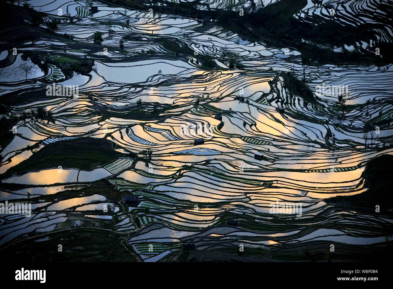 Landscape of terraced rice fields of the Honghe Hani Rice Terraces, one ...