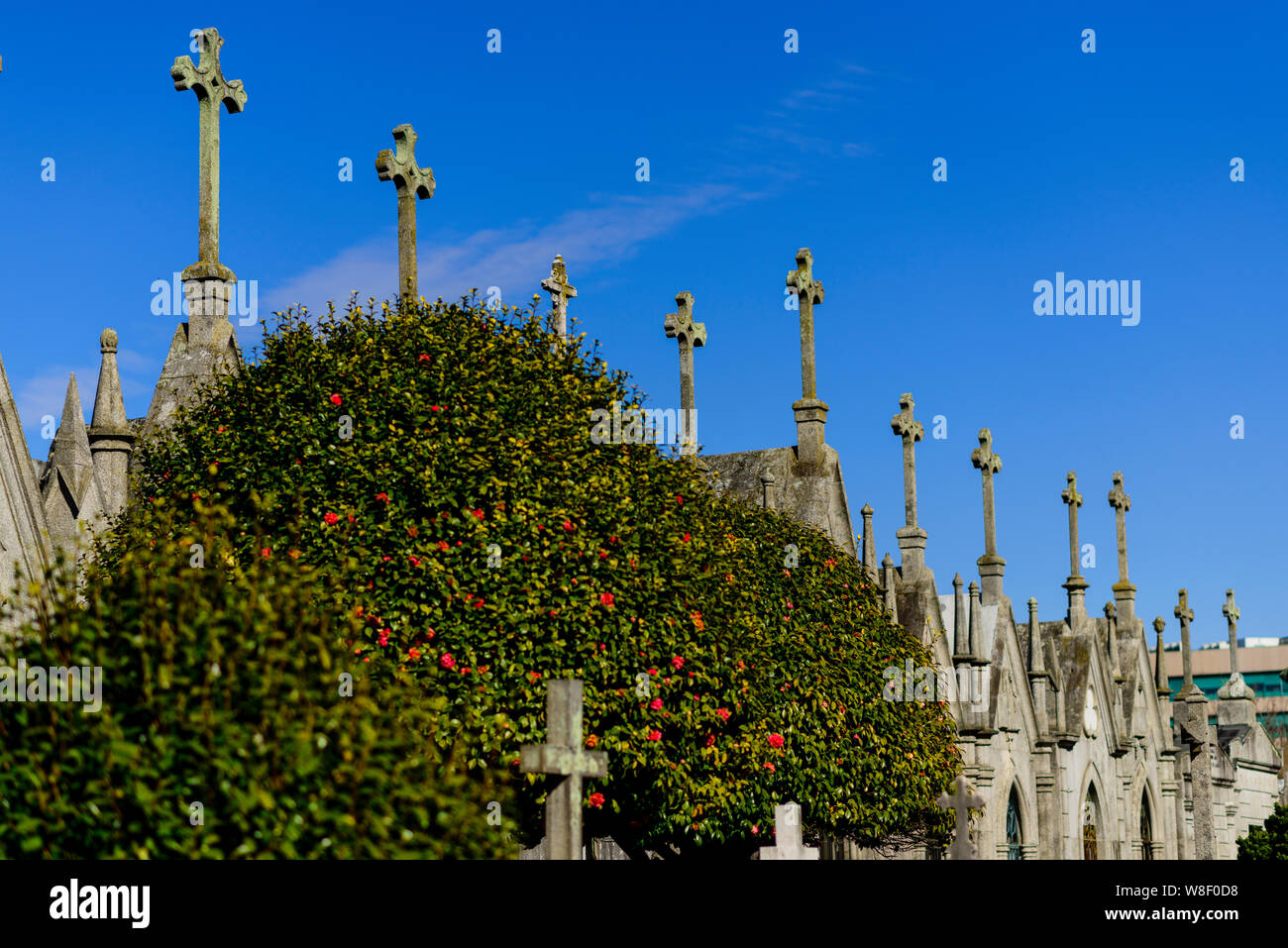 Cemetery in Porto Stock Photo - Alamy