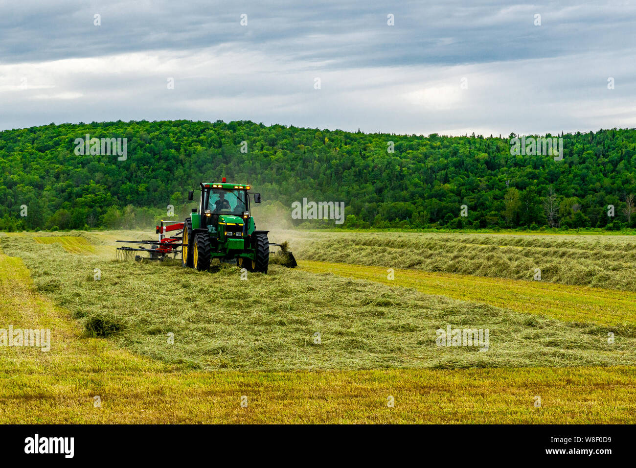 Haverst hi-res stock photography and images - Alamy