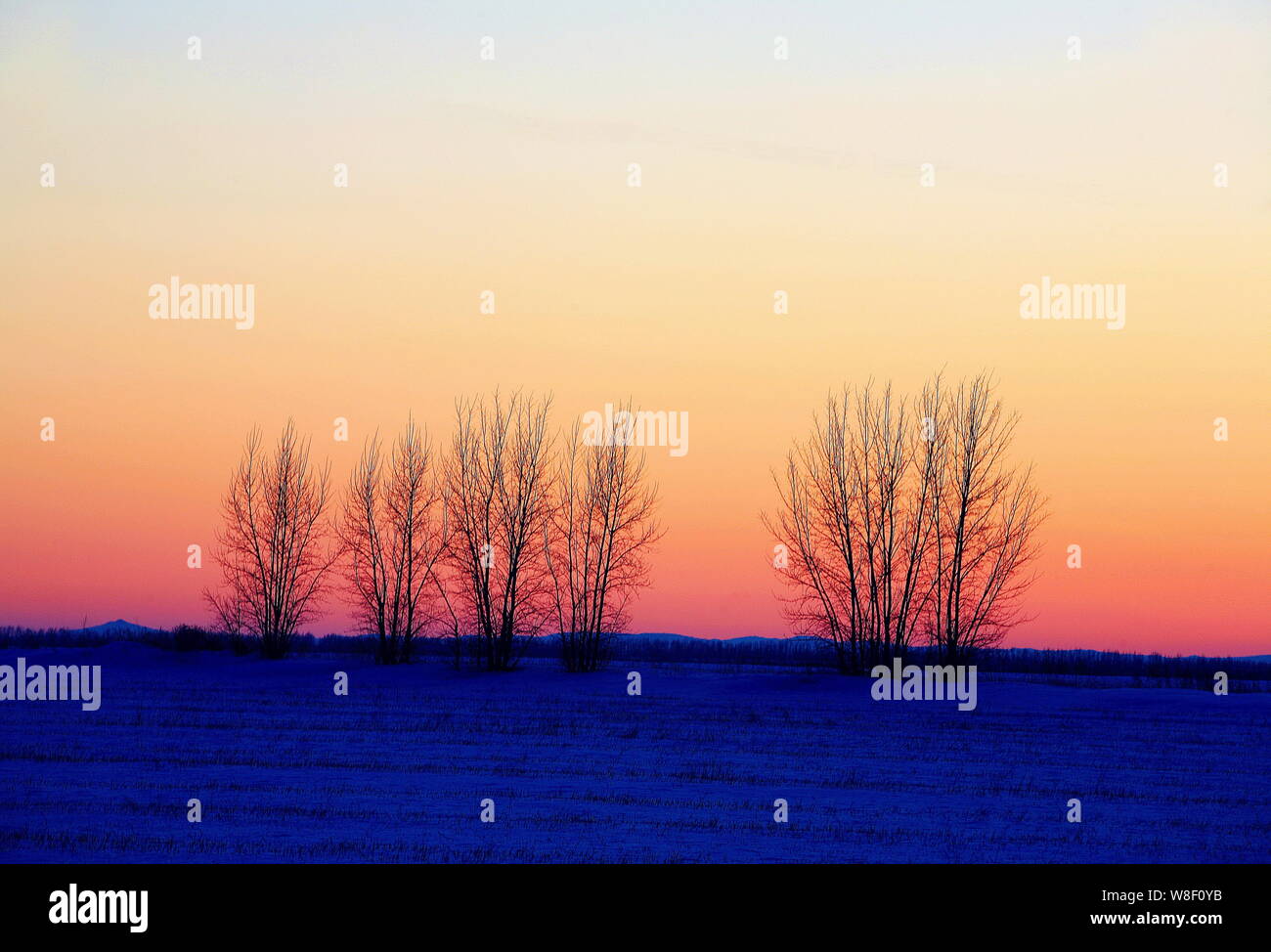 Landscape of Ergune or Argun in winter in north China's Inner Mongolia ...