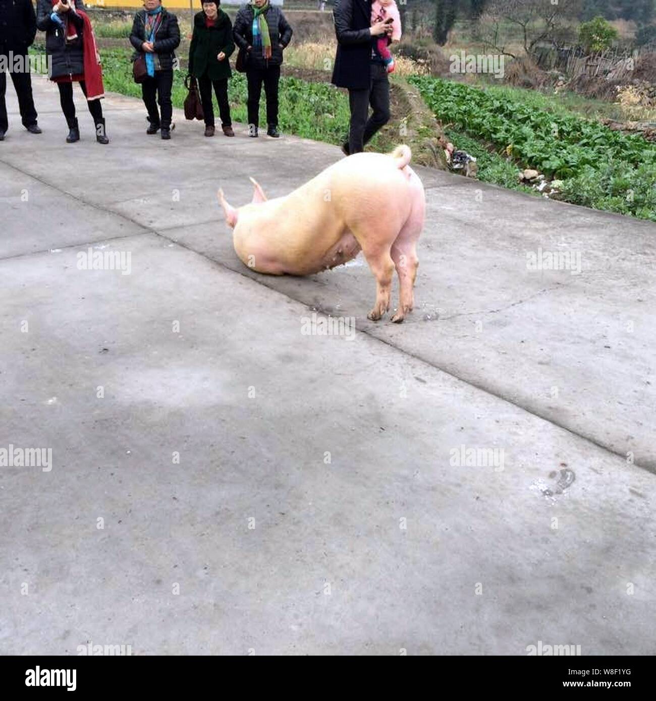 Lunar Ta High Resolution Stock Photography and Images - Alamy