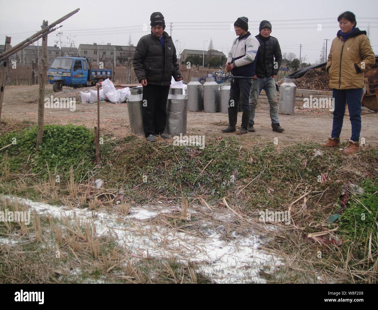 Chinese milk farm hi-res stock photography and images - Alamy