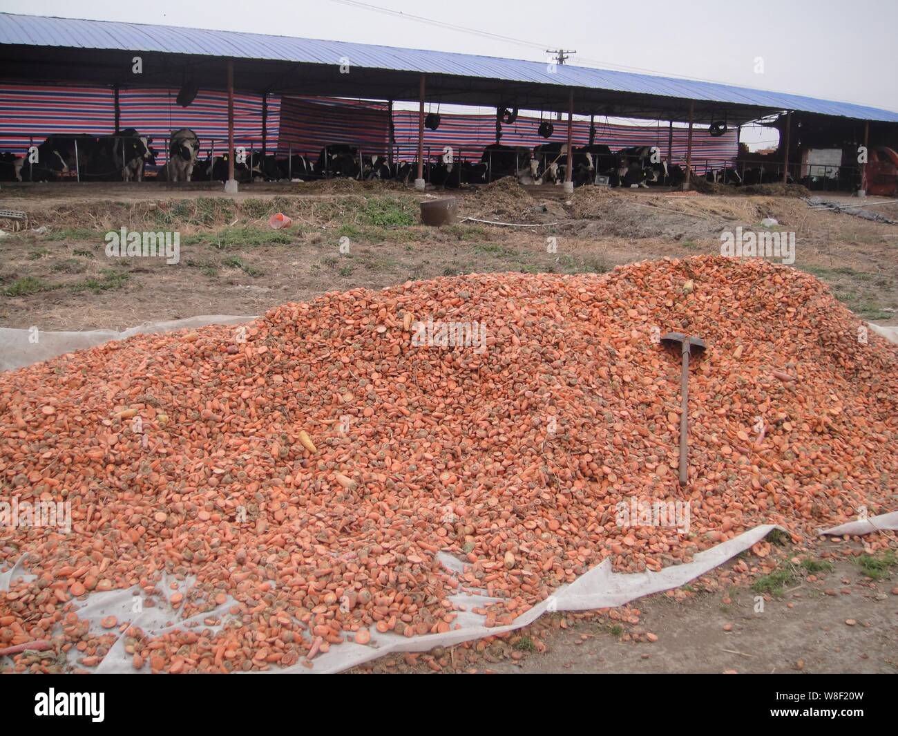 Tanjia hi-res stock photography and images - Alamy