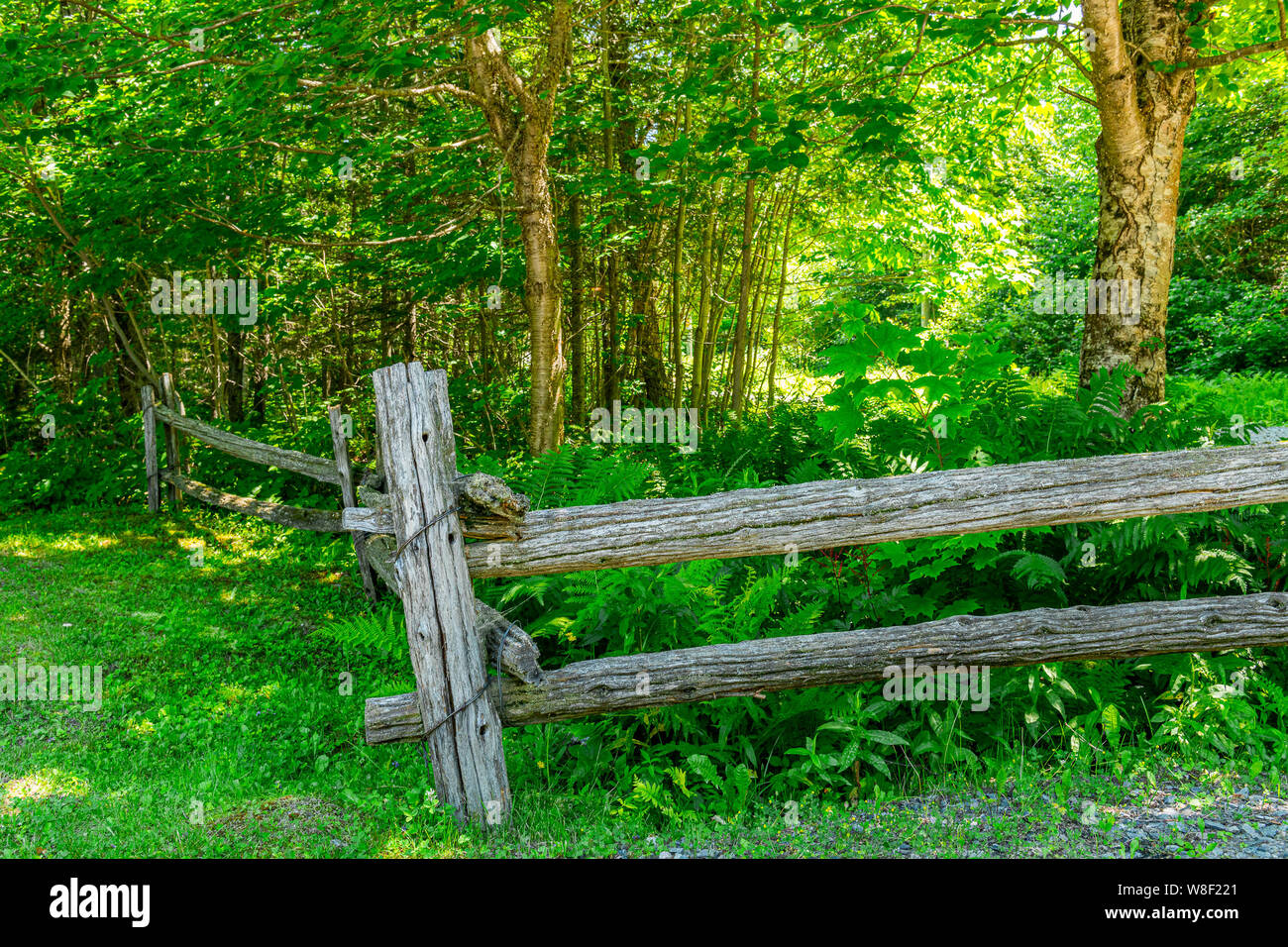old wooden fence bordering the forest Stock Photo - Alamy