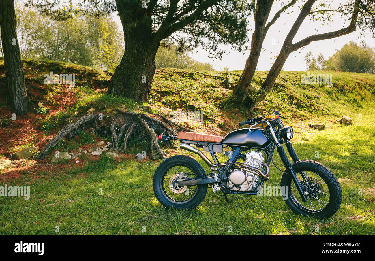Custom motorcycle parked in the field Stock Photo - Alamy