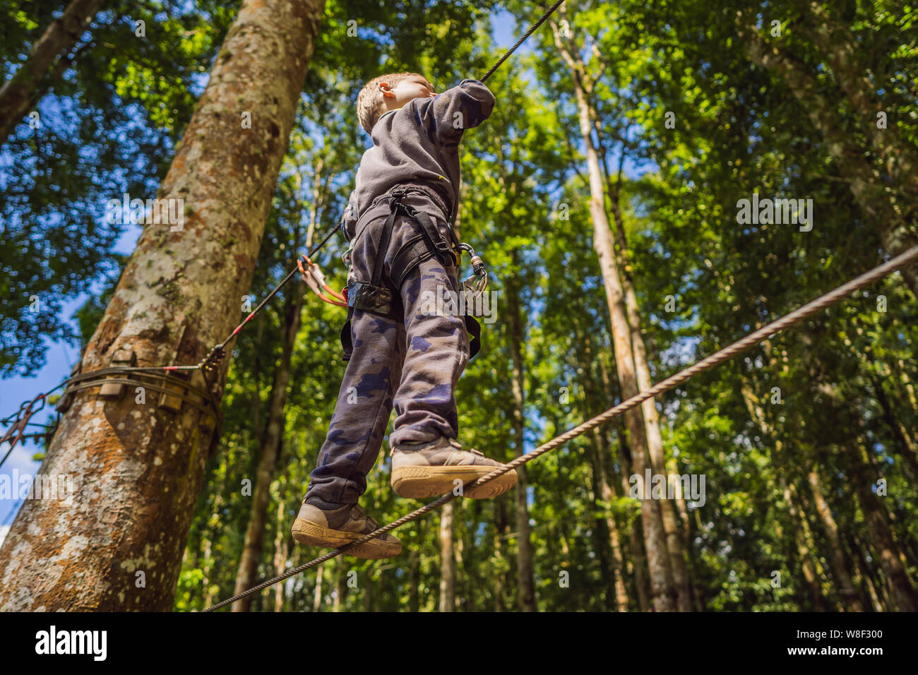 Little boy in a rope park. Active physical recreation of the child in ...