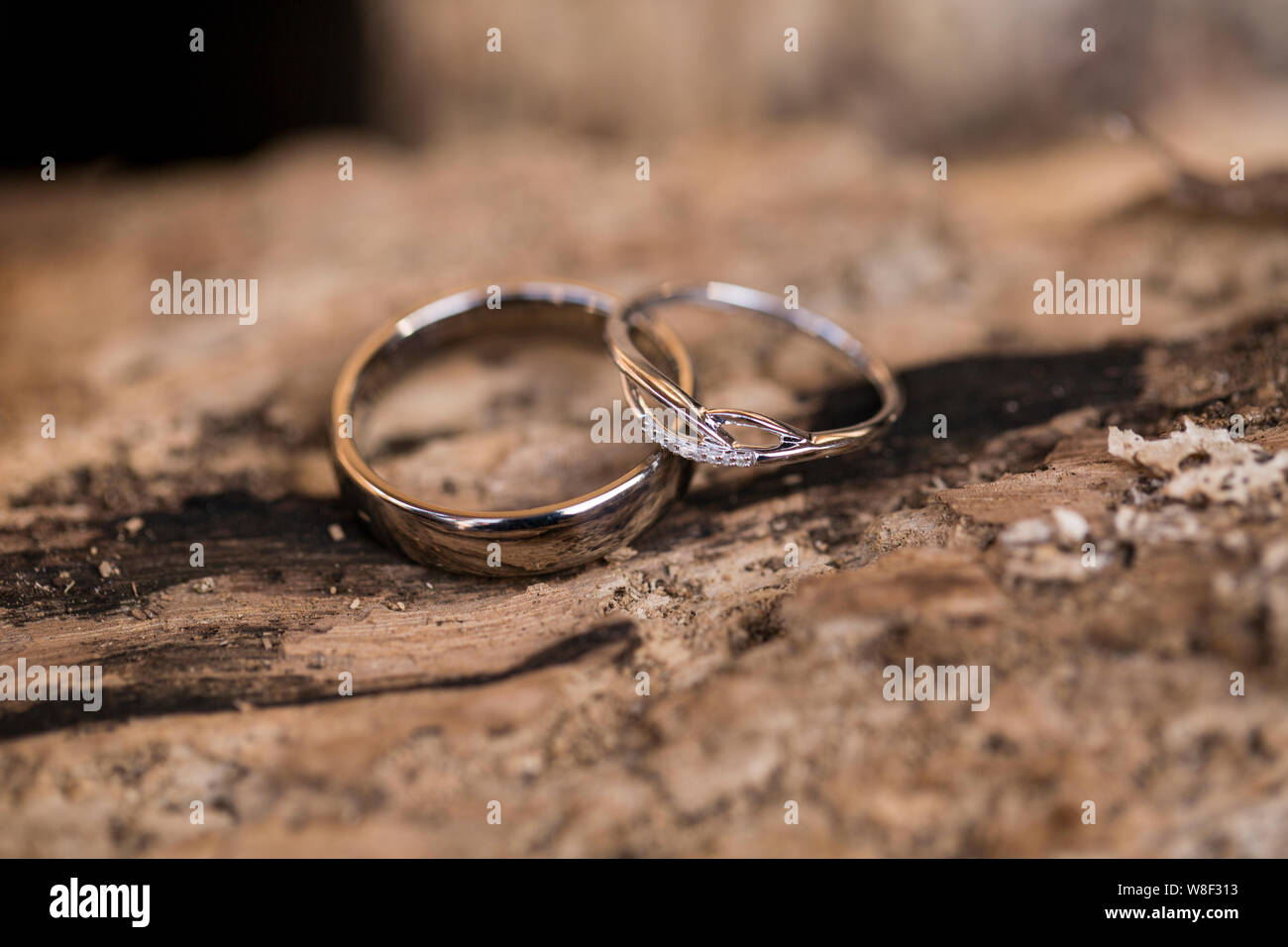 The bling ring set hi-res stock photography and images - Alamy